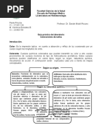 Colorantes Ácidos y Básicos en Histología | PDF | Técnicas de ...