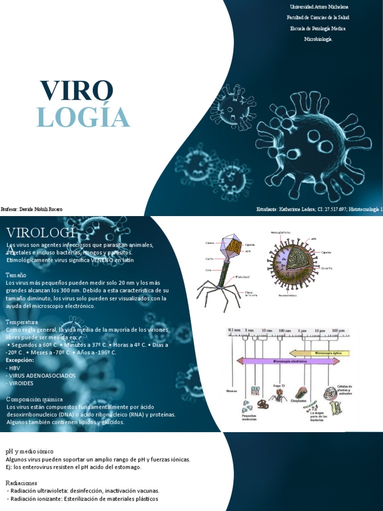 Introducción a la Virología | PDF | Virus | Rna
