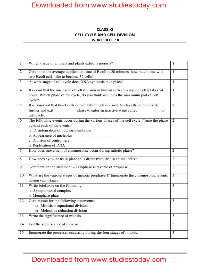 CBSE Class 11 Biology Worksheet - Cell Cycle and Cell Division | PDF