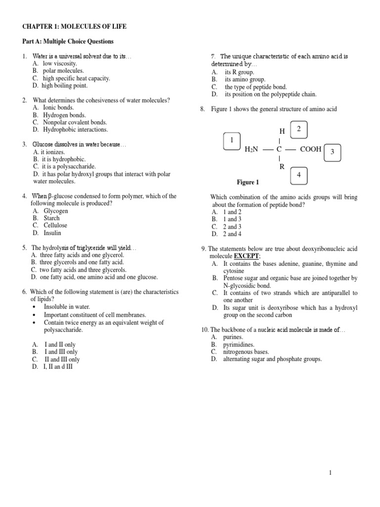 Molecules of Life: Key Concepts and Questions | PDF | Dna | Chemical ...