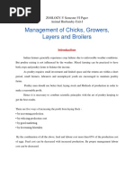 Broilers Production Training Module | PDF | Broiler | Diarrhea
