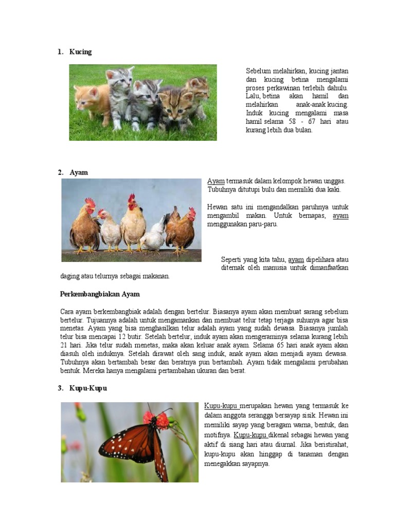 Kliping Hewan | PDF