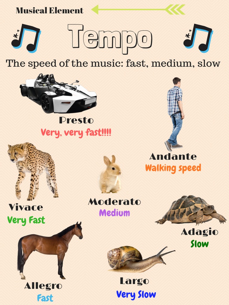 Tempo: The Speed of The Music: Fast, Medium, Slow | PDF