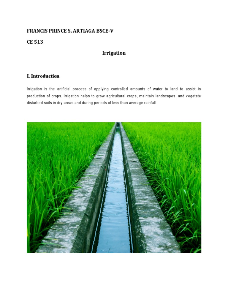 Assignment in Irrigation | PDF | Irrigation | Flood