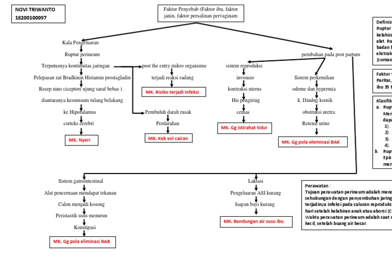 Woc Ruptur Perineum Novi Triwanto | PDF
