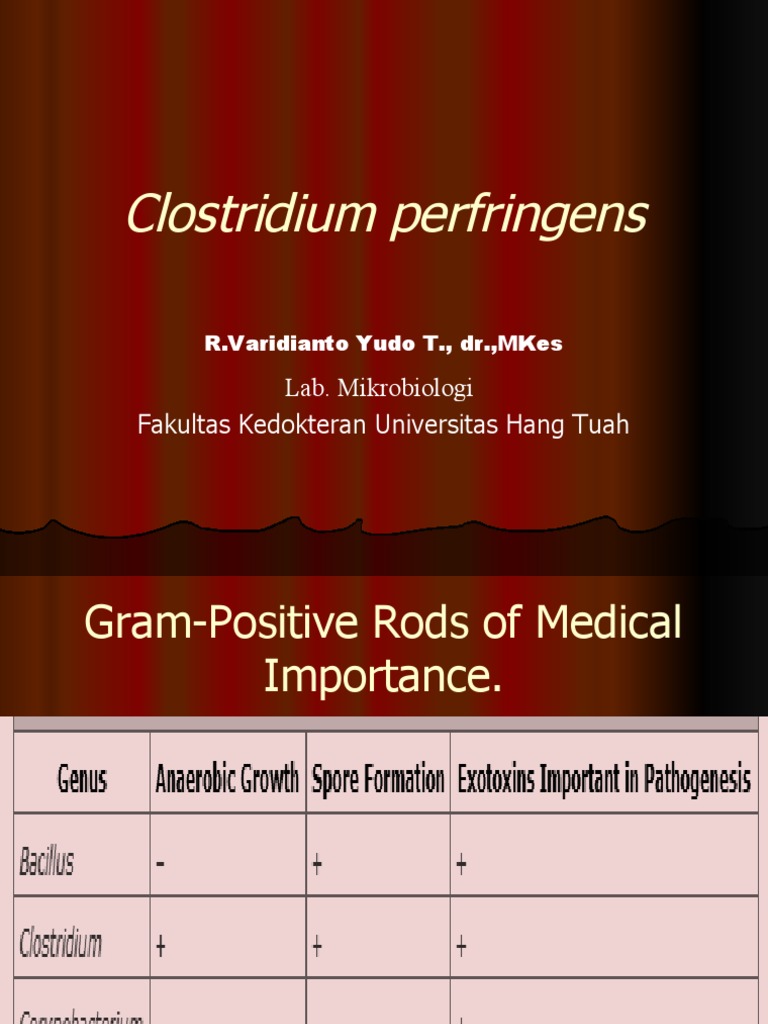 Clostridium Perfringens | PDF