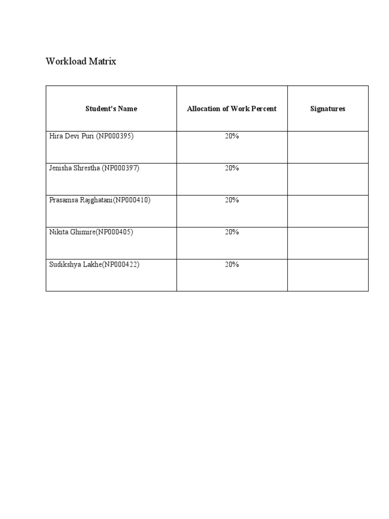 Work Load Matrix | PDF