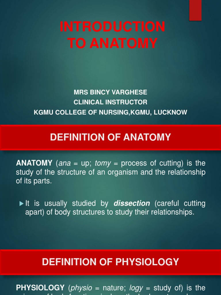 To Anatomy: Mrs Bincy Varghese Clinical Instructor Kgmu College of ...