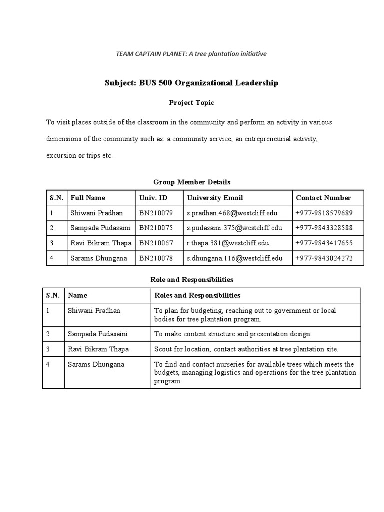 Organizational Leadership Project Progress Report | PDF | Applied ...