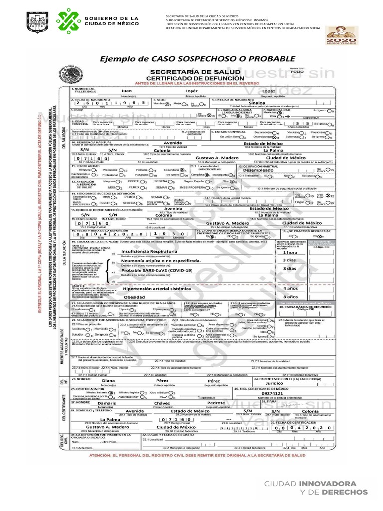 Certificado de Defuncion | PDF | Cuidado de la salud | Ciencias de la Salud