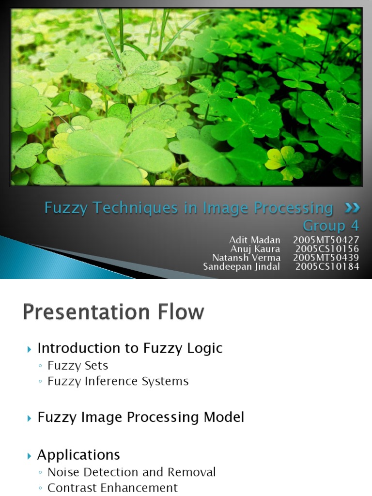 Fuzzy Techniques in Image Processing: Group 4 | PDF | Fuzzy Logic | Theoretical Computer Science