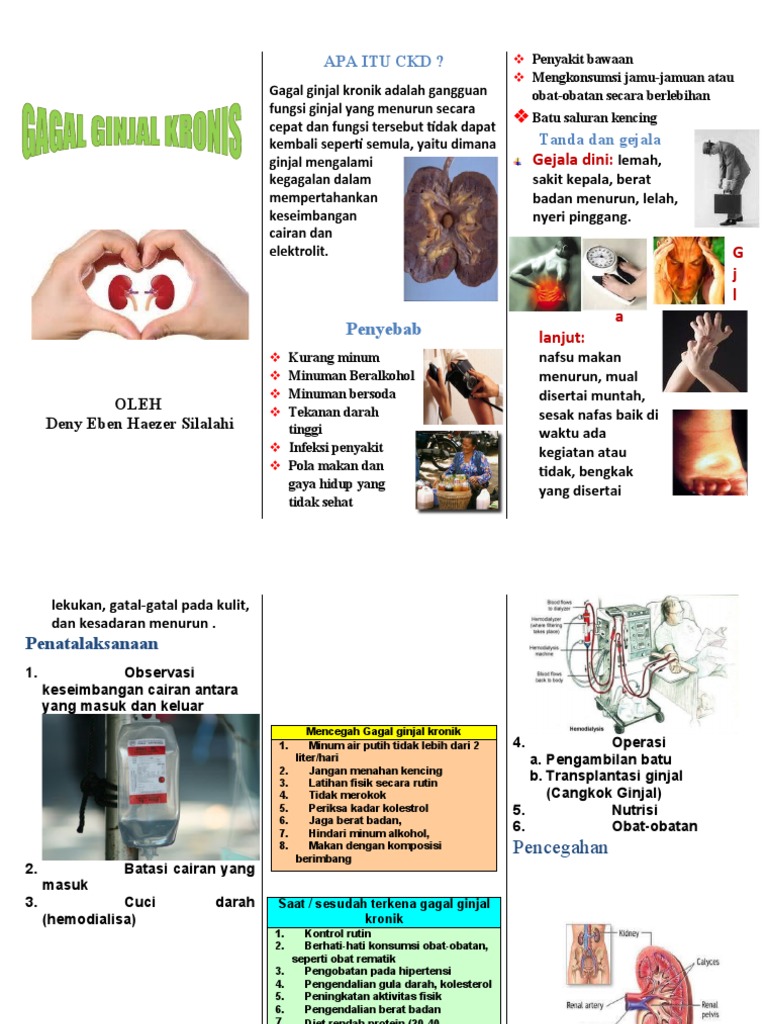 Leaflet CKD | PDF | Kesehatan Holistik