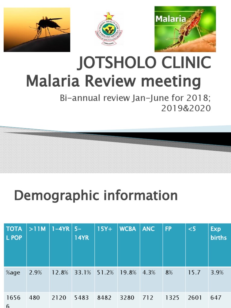 Malaria Review Meeting Template-1 | PDF | Malaria | Public Health