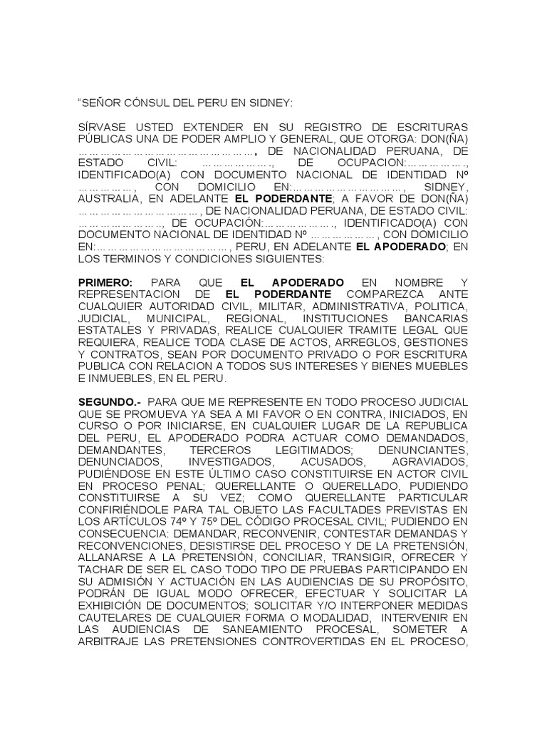 Modelo Poder para Juicios y Procesos Judiciales | PDF | Ley procesal | Justicia