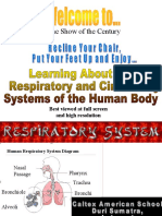 Complete vs Incomplete Digestive Systems | PDF | Digestion | Human ...