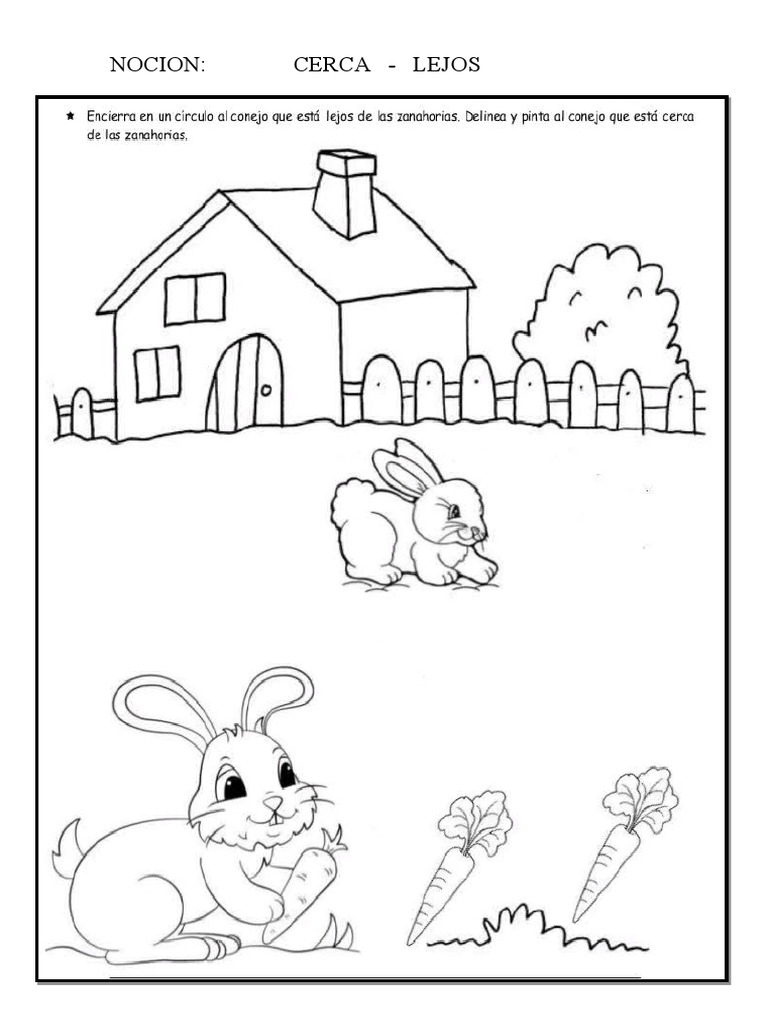 Actividades Cerca y Lejos para Niños | PDF