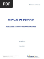 Manual Ecap | PDF