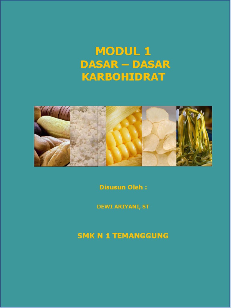 Modul 1 Karbohidrat | PDF
