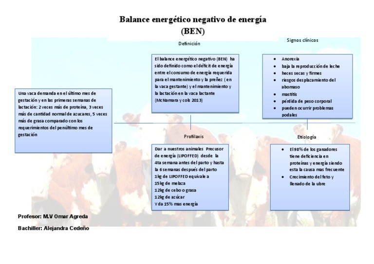 Balance Energetico Mapa Conceptual - shibaswap