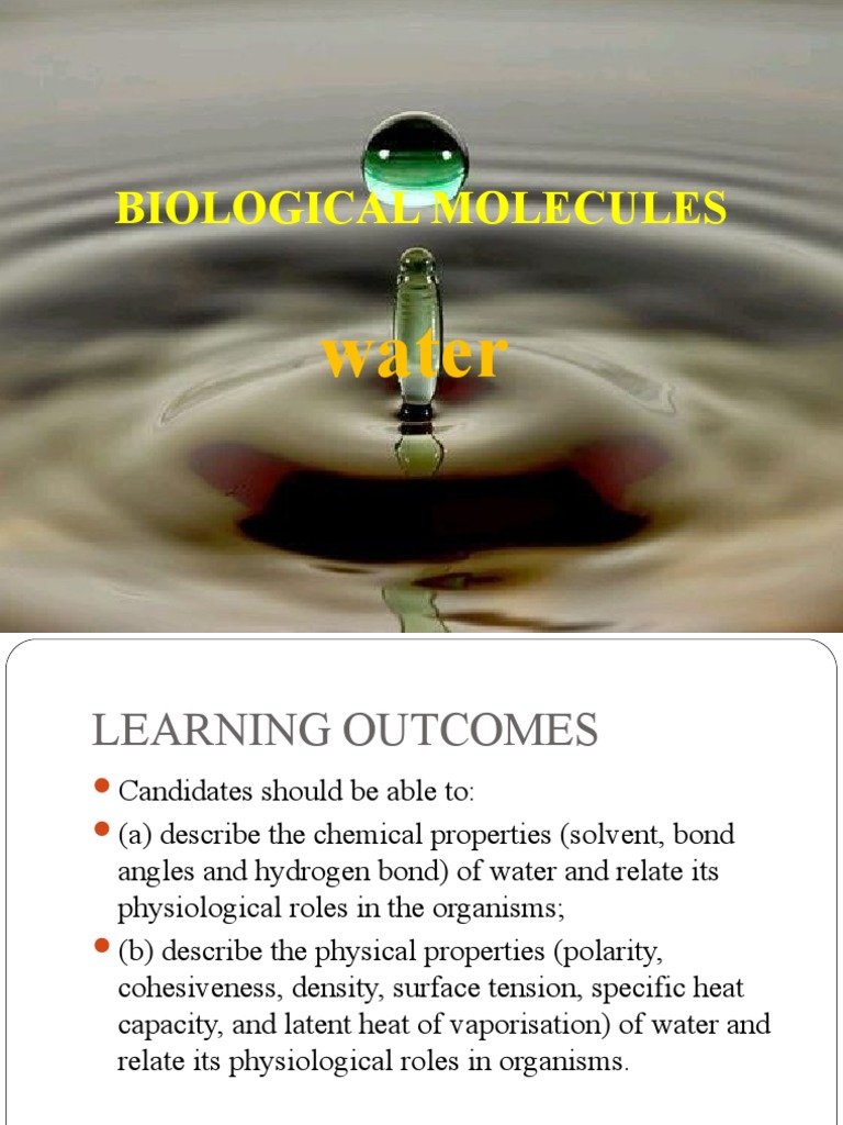 Biological Molecules: Water | PDF | Water | Properties Of Water