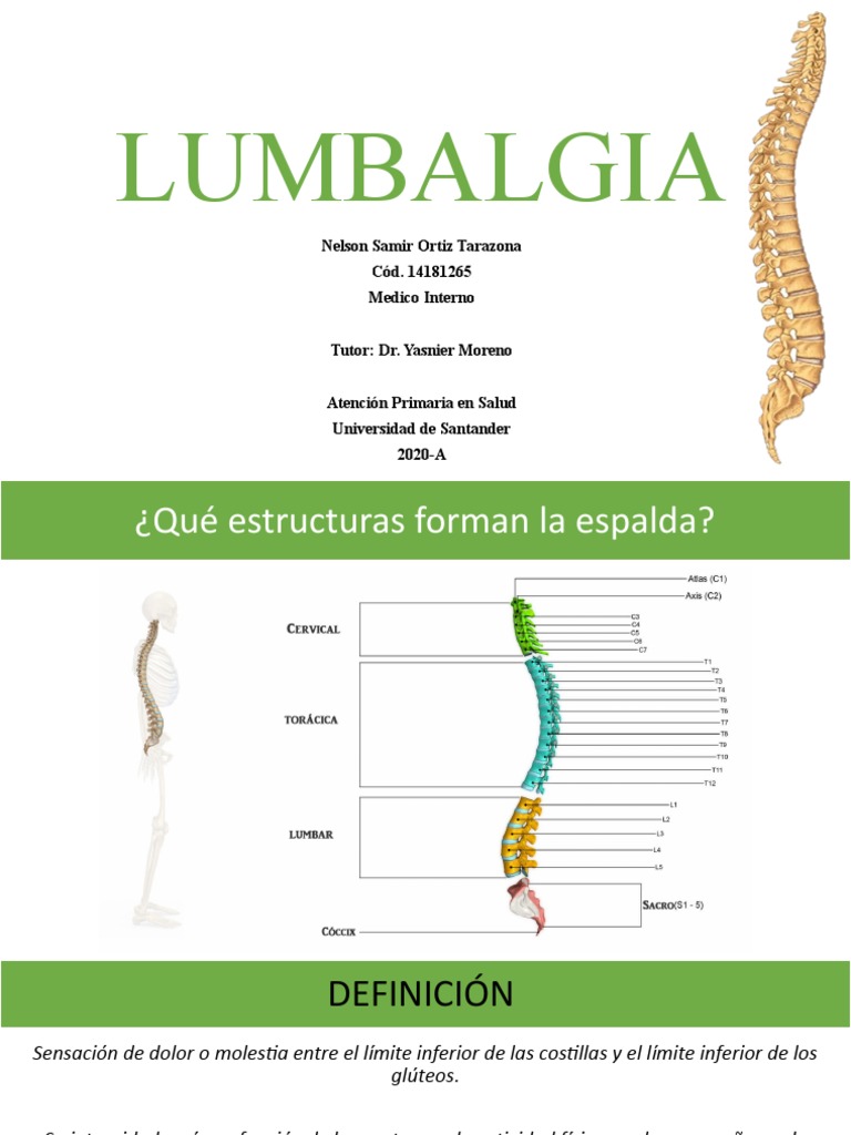 LUMBALGIA | PDF | Dolor lumbar | Enfermedades y trastornos