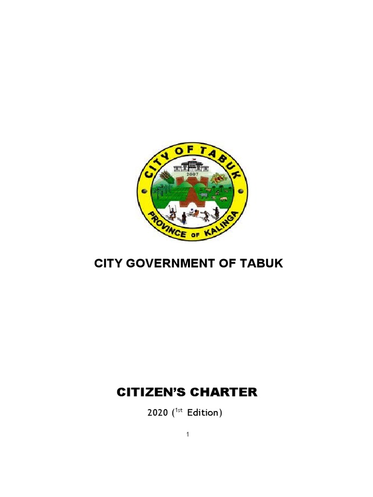 City Government Services Guide | PDF | Adolescence