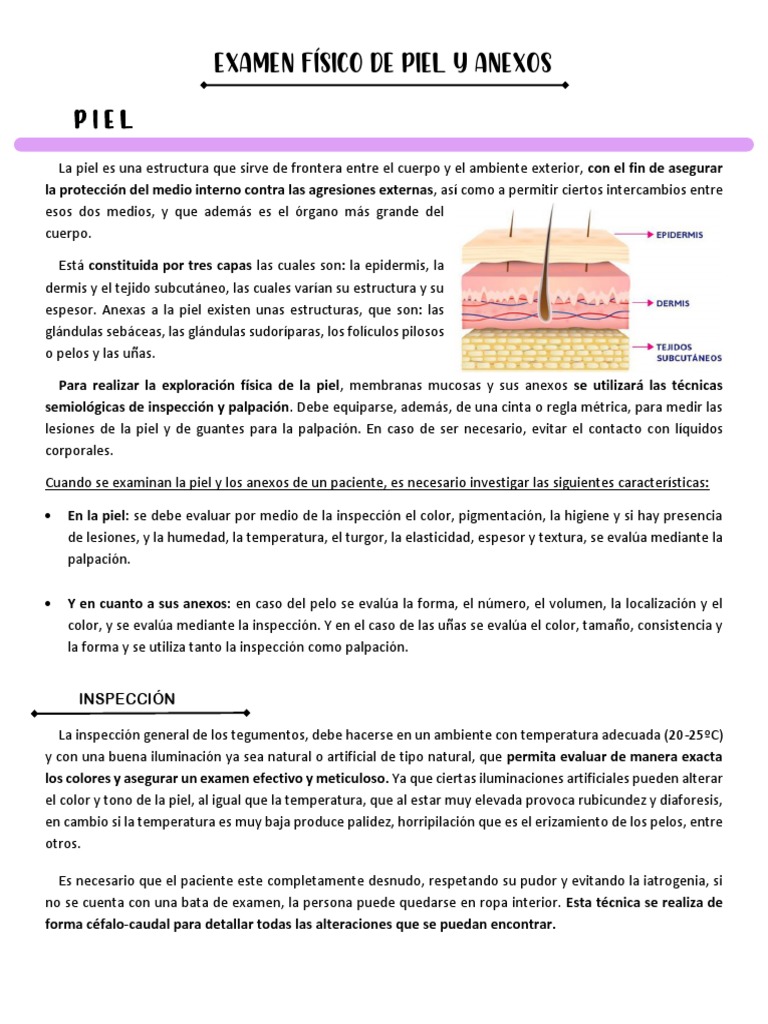 Examen Físico de Piel y Anexos | PDF | Piel | Perdida de cabello