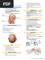 Netter - Atlas of Human Anatomy | PDF | Abdomen | Pelvis