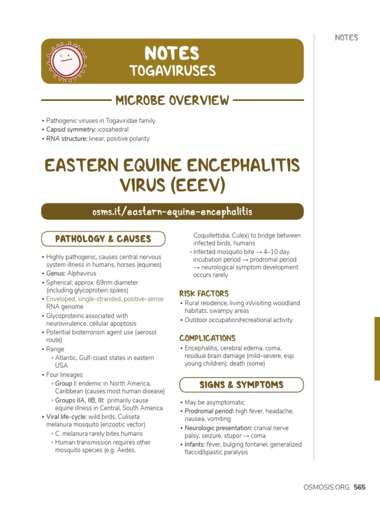 Notes: Eastern Equine Encephalitis Virus (Eeev) | PDF | Virus | Medical ...