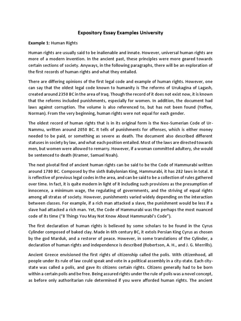 Expository Essay Examples University: Example 1: Human Rights | PDF ...
