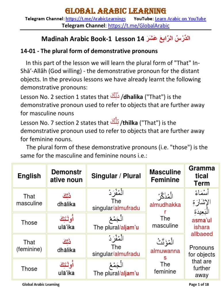 Lesson 14 Complete Notes Madinah Arabic | PDF | Grammatical Number ...
