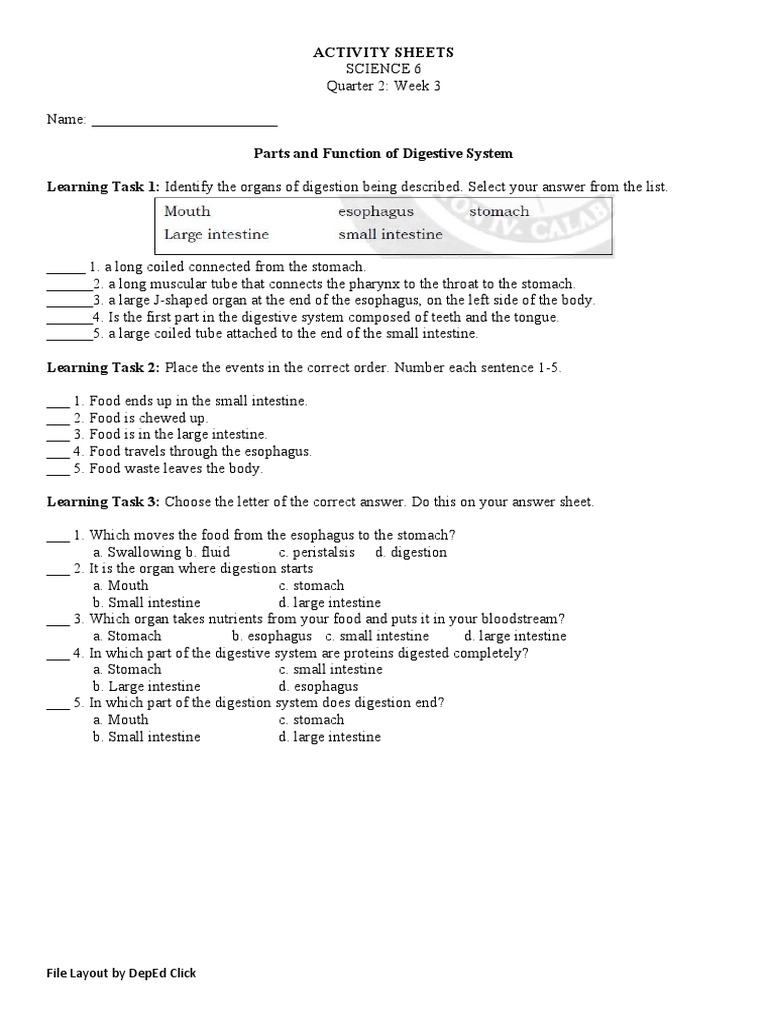 SCIENCE 6 Activity Sheet Q2 W3 | PDF