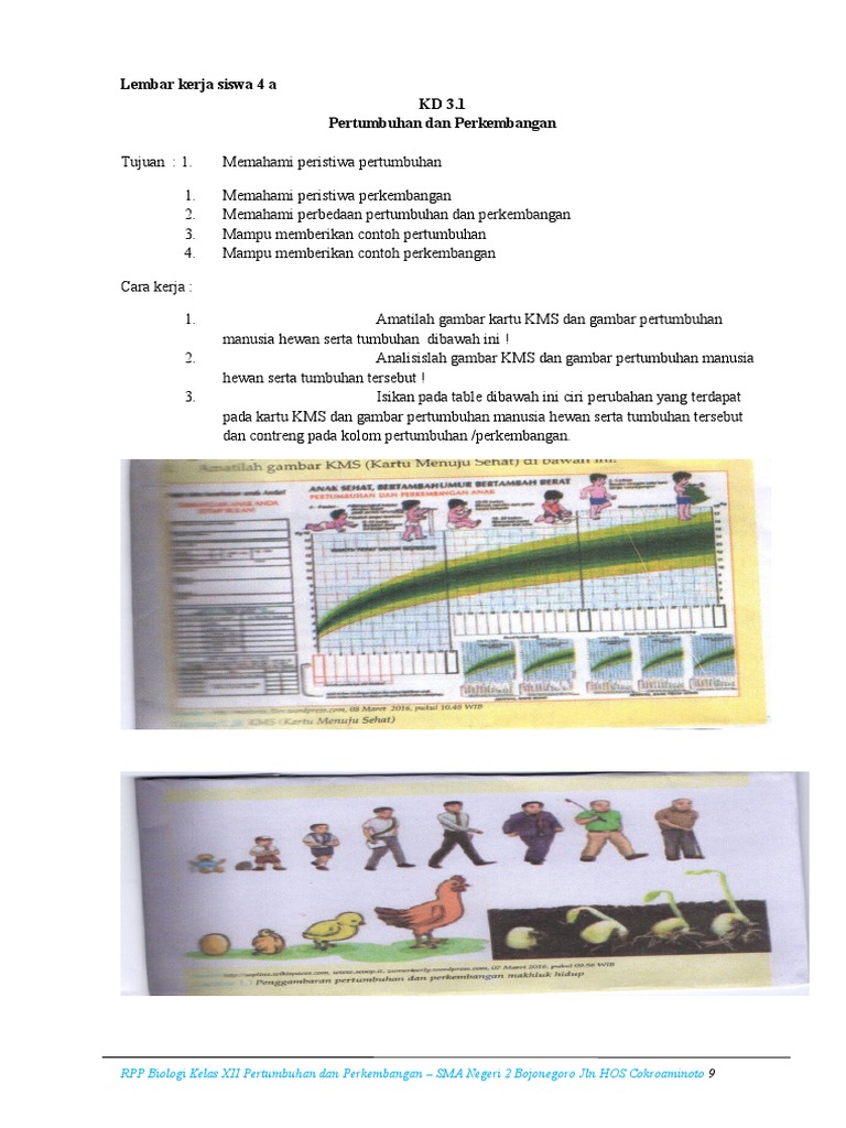 Pertumbuhan Dan Perkembangan Pada Tumbuhan Dan Hewan | PDF