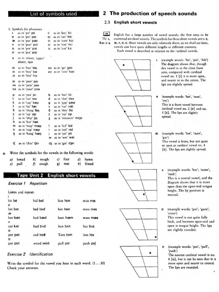 Phonetics Beginner | PDF