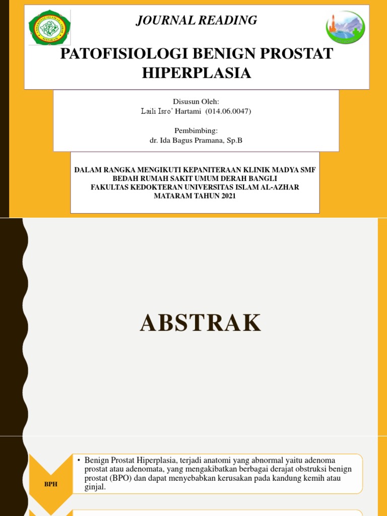 Laporan JR (BPH), Laili Isro' Hartami (014.06.0047) | PDF