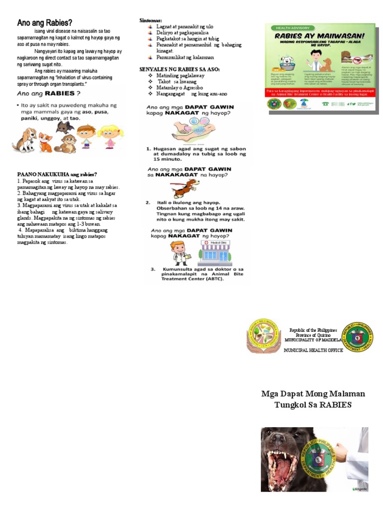 Ano Ang Rabies Pamplet | PDF