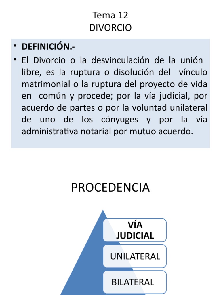 Definición y Procedimiento de Divorcio | PDF | Divorcio | Parentesco y ...