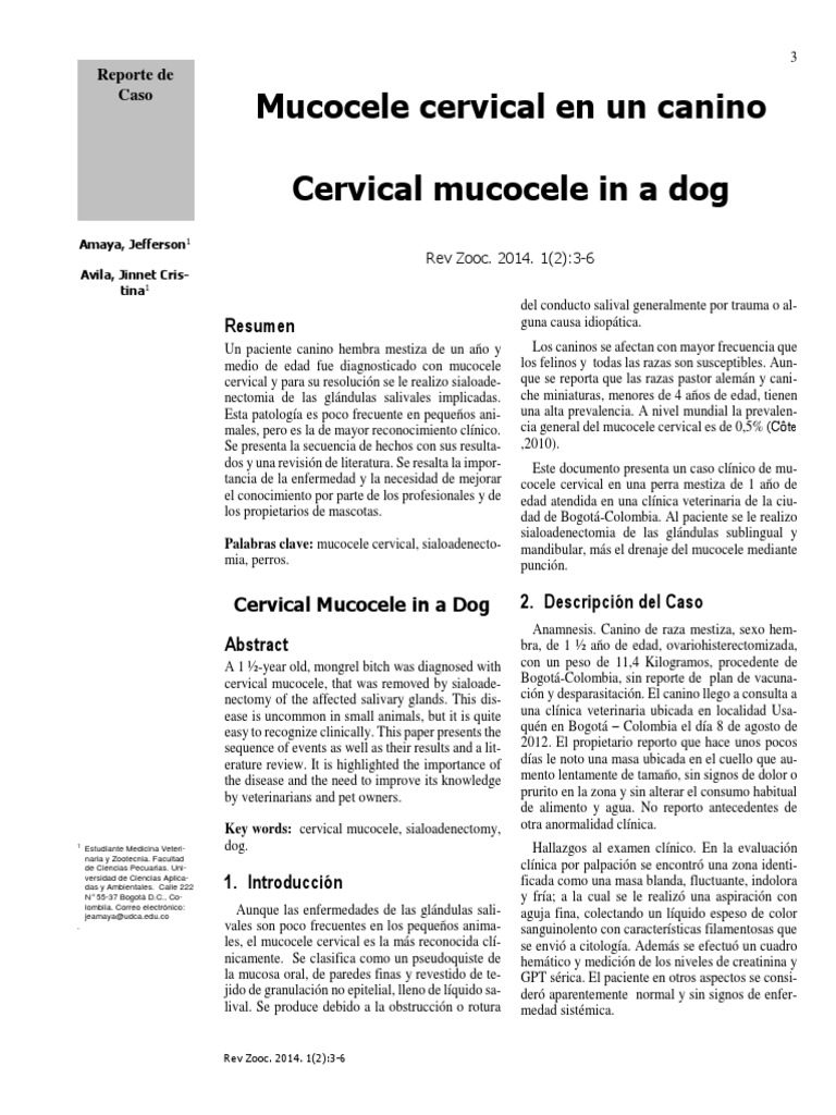 Mucocele Cervical en Un Canino Cervical Mucocele in A Dog: Resumen ...