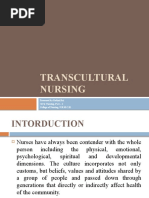Giger and Davidhizar Model Overview | PDF | Nursing | Social Psychology