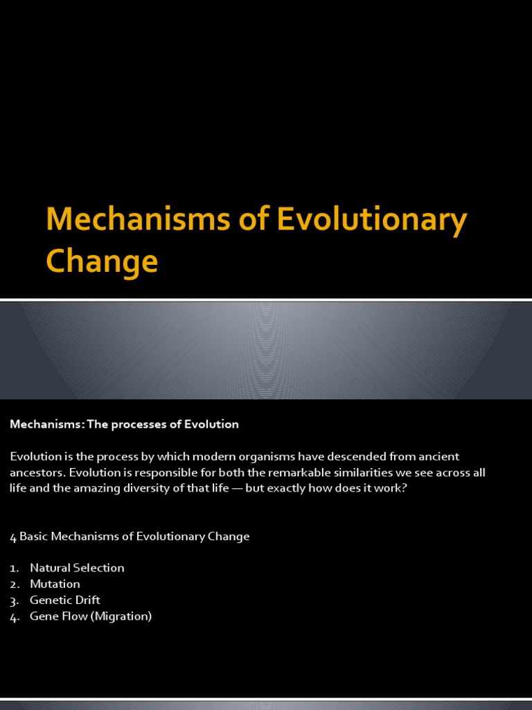 Lesson 2 Biology Mechanisms of Evolutionary Change | PDF | Wellness ...