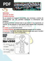 Canción El Rap de Los Cotinentes | PDF