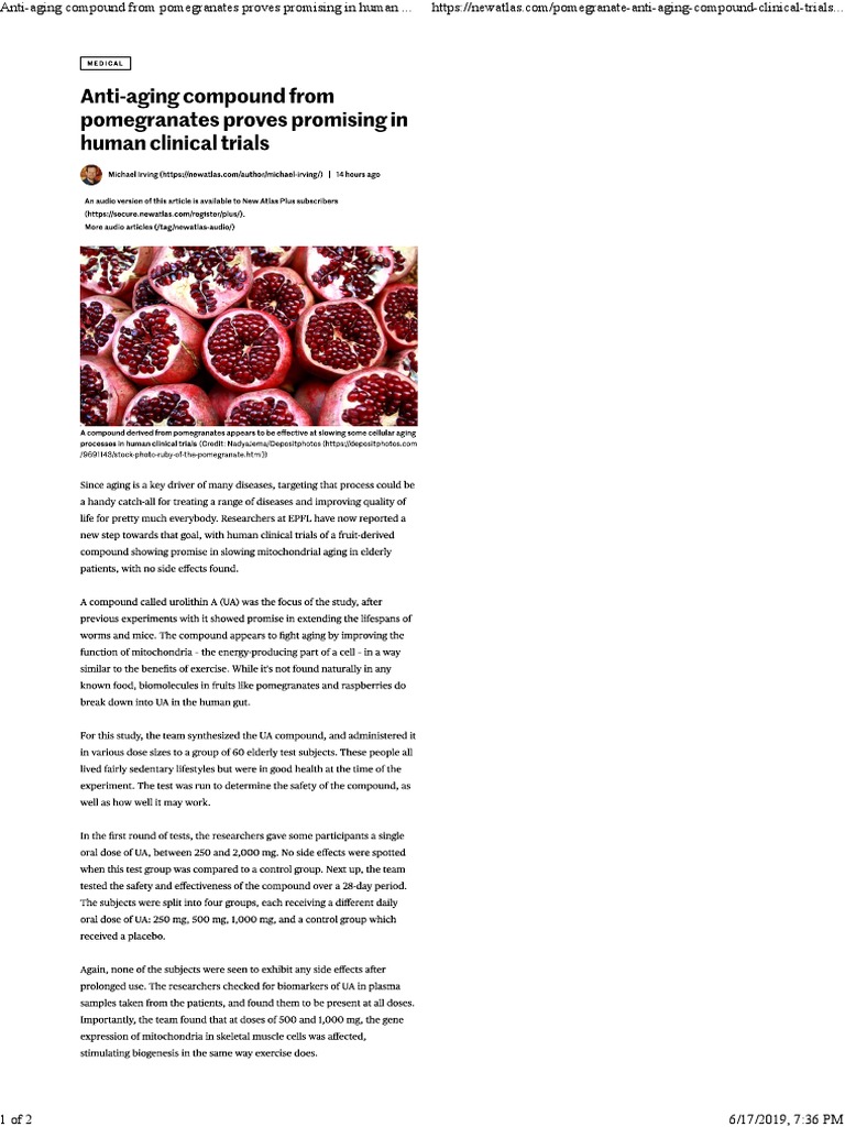 Anti-Aging Compound From Pomegranates Proves Promising in Human ...