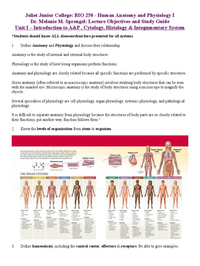 Jjc A P I Lecture Unit I Objectives Pdf Epithelium Anatomical