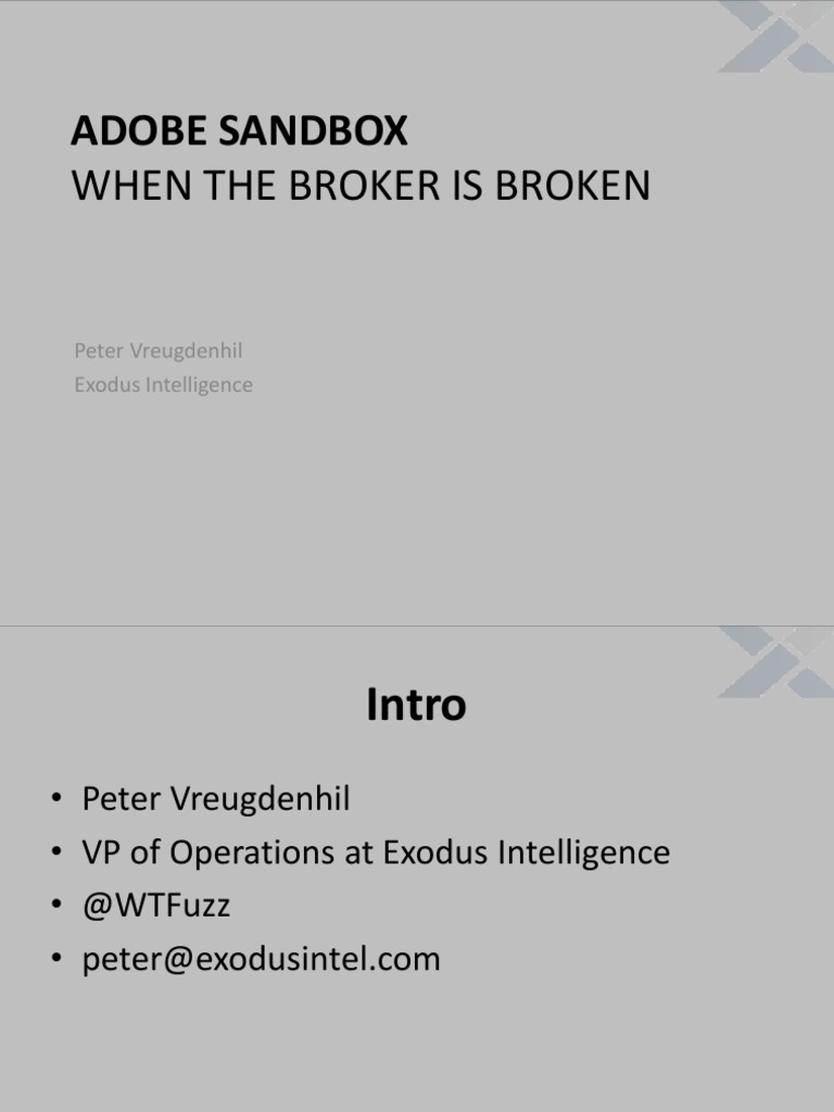 Adobe Sandbox | PDF | Parameter (Computer Programming) | Microsoft Windows