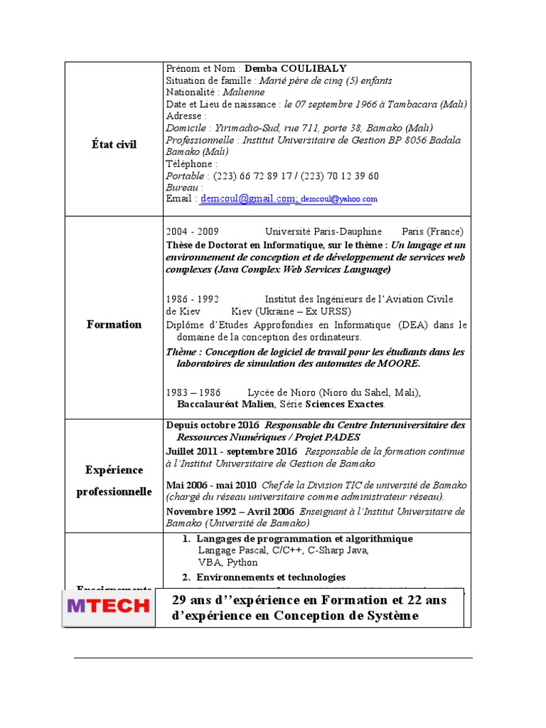 CV - Demba 2019 | PDF | Informatique | Langage de programmation