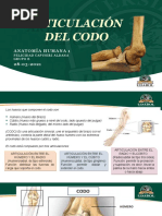 Tema 35 - Articulación Del Codo. Articulación Radio Cubital Distal. | PDF | Codo | Articulación