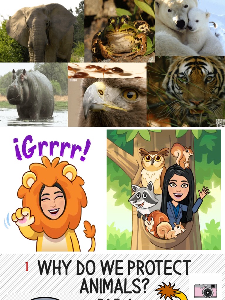 Bq1-Why Do We Protect Animals | PDF | Endangered Species | Extinction