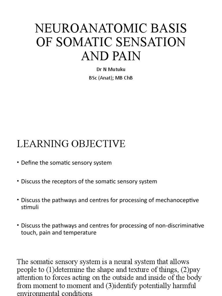 Lecture 4 Neuroanatomic Basis of Somatic Sensation and Pain | PDF ...