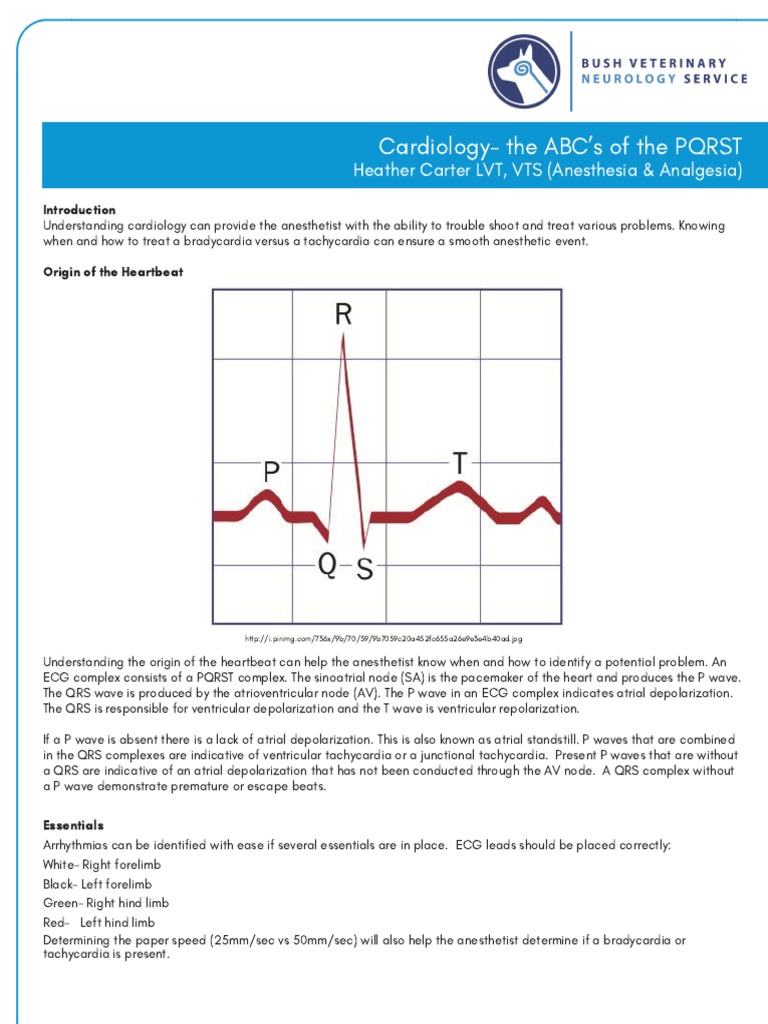 Cardiology The ABC's of The PQRST | PDF | Electrocardiography ...