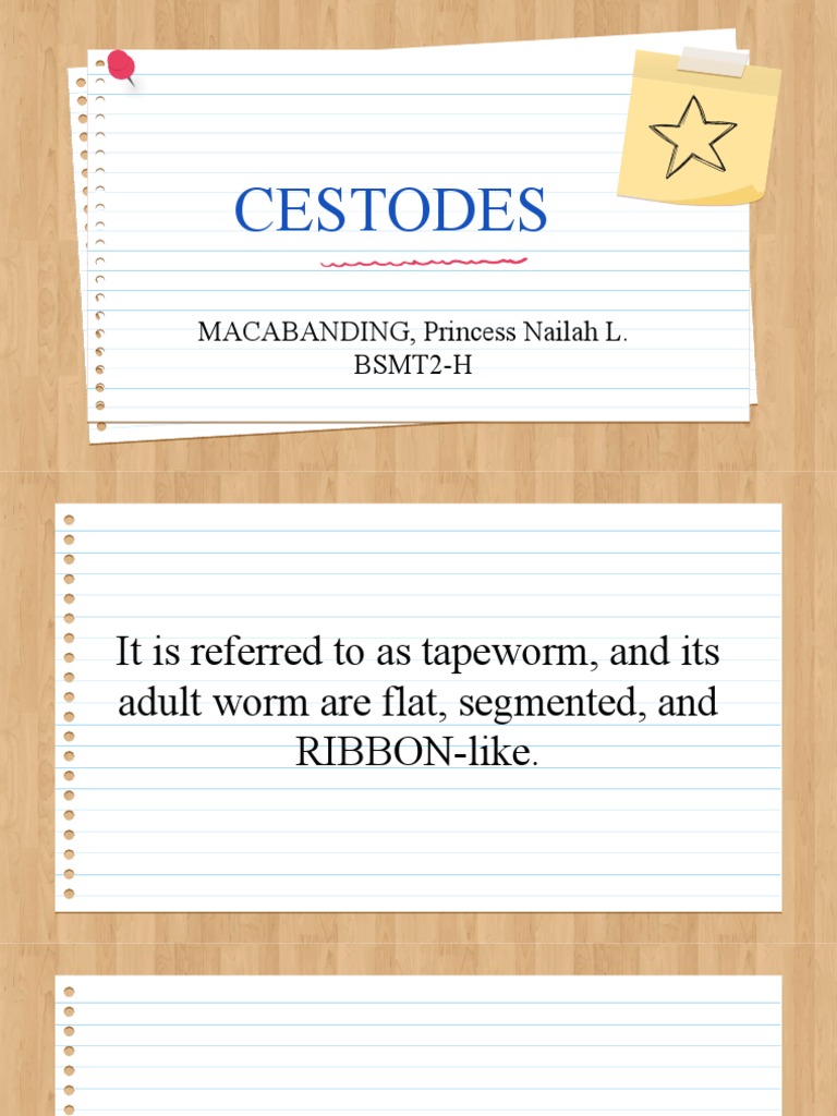 Cestodes: MACABANDING, Princess Nailah L. Bsmt2-H | PDF | Medical ...